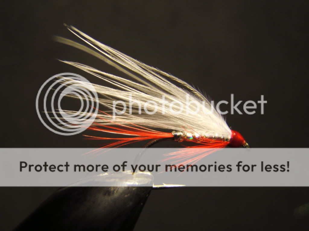 Elvers | Nova Scotia Fishing Forum