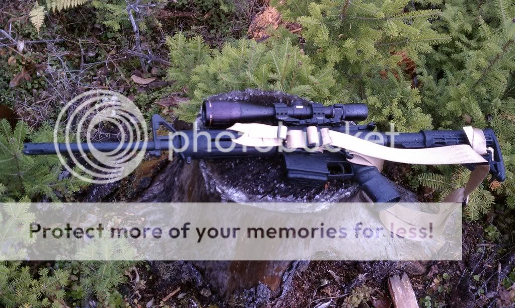 DPMS Rifle Pictures Thread > AR Variants > AR15.COM